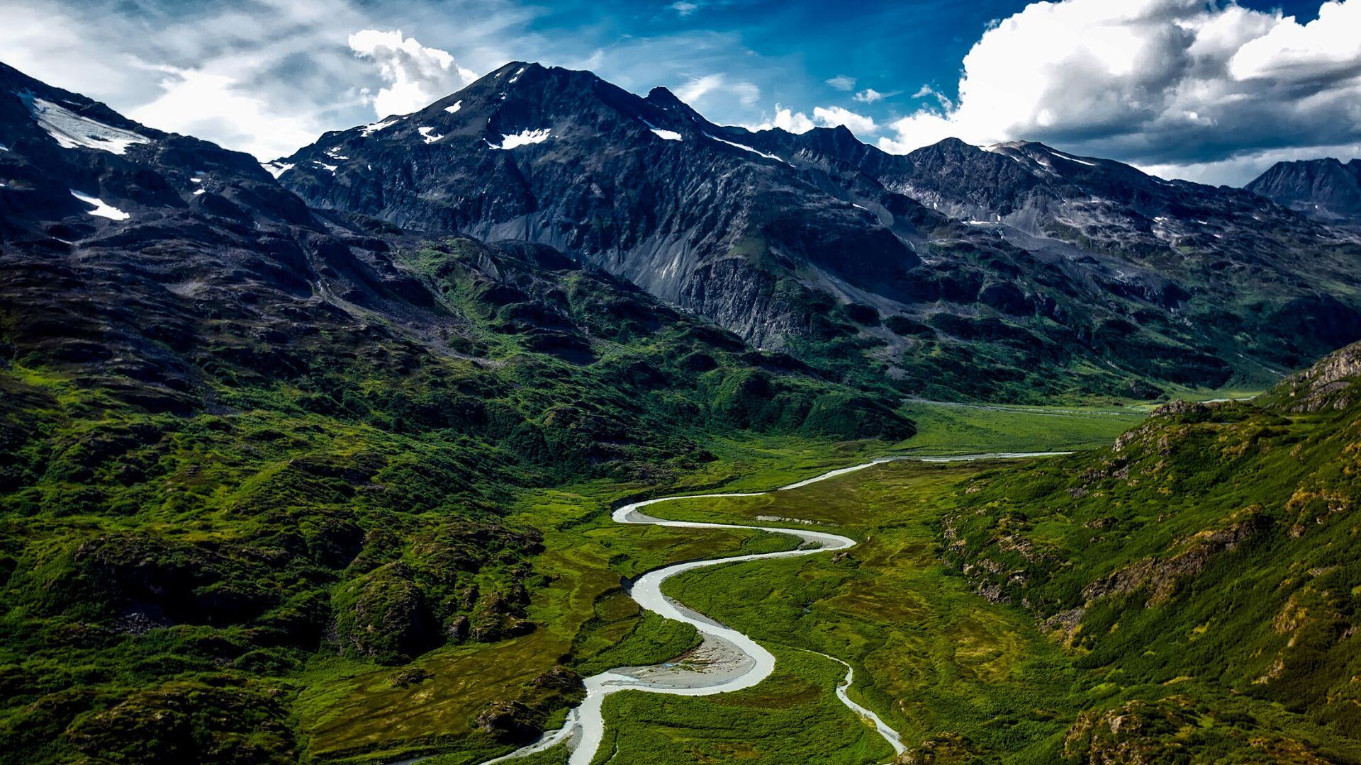 Credit Union 1 Business Checking